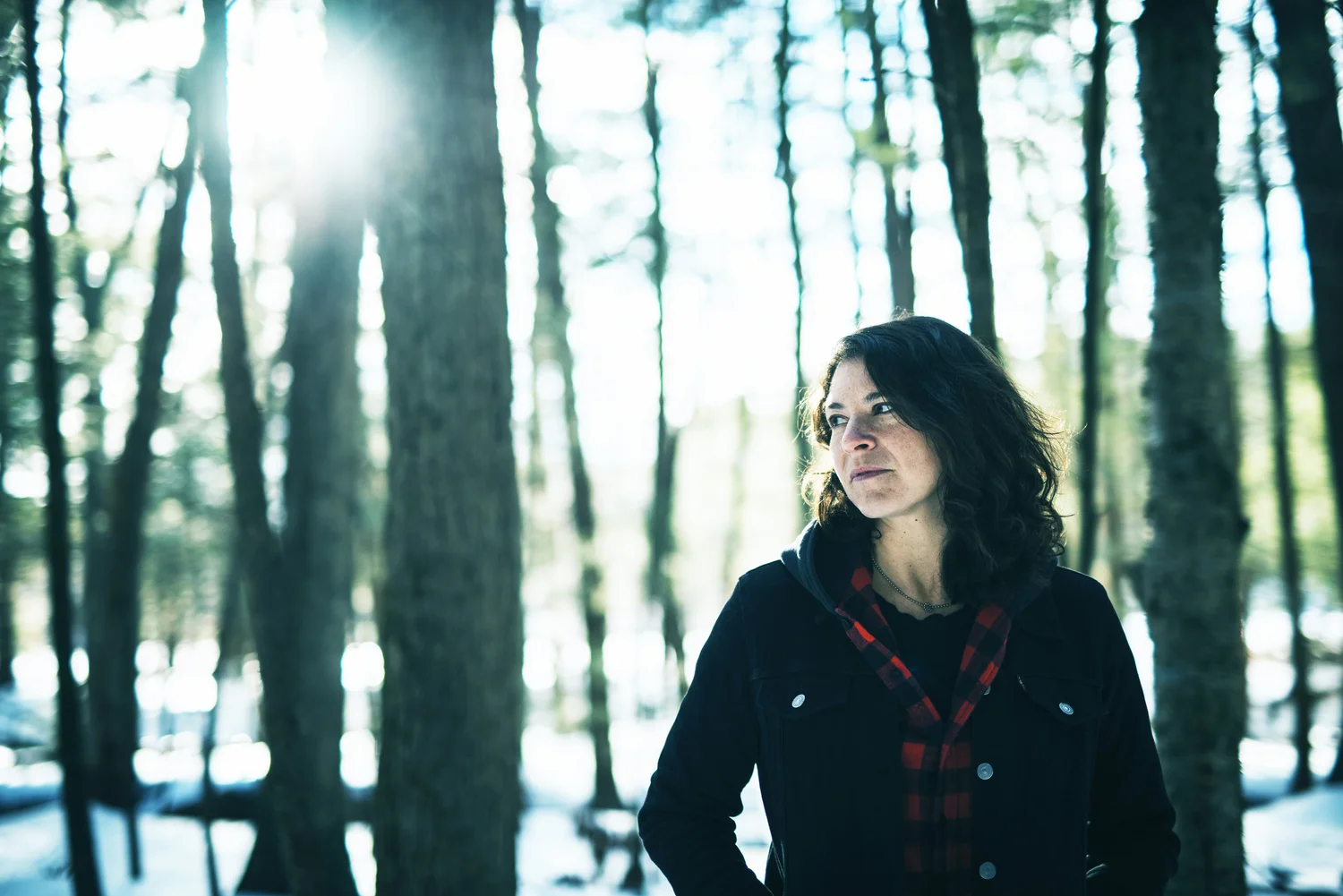 THE WILD (2017) - CD/LP — KRIS DELMHORST