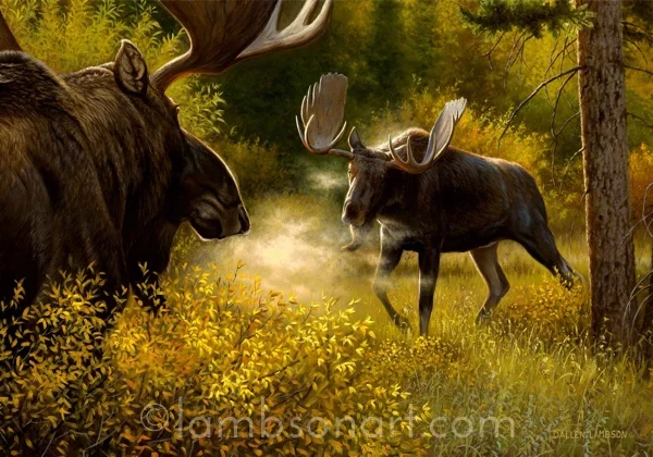 Shop — Dallen Lambson Wildlife Art