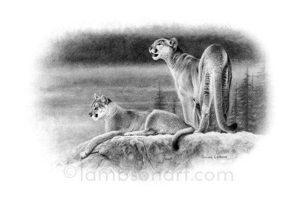 Shop — Dallen Lambson Wildlife Art