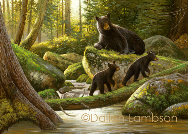 Shop — Dallen Lambson Wildlife Art