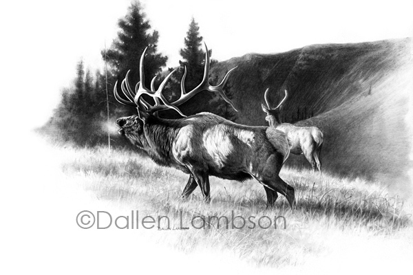 Shop — Dallen Lambson Wildlife Art