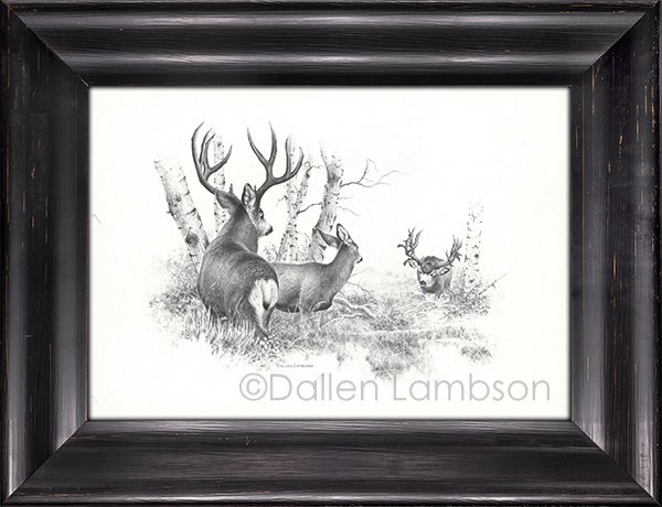 In the Mood — Dallen Lambson Wildlife Art