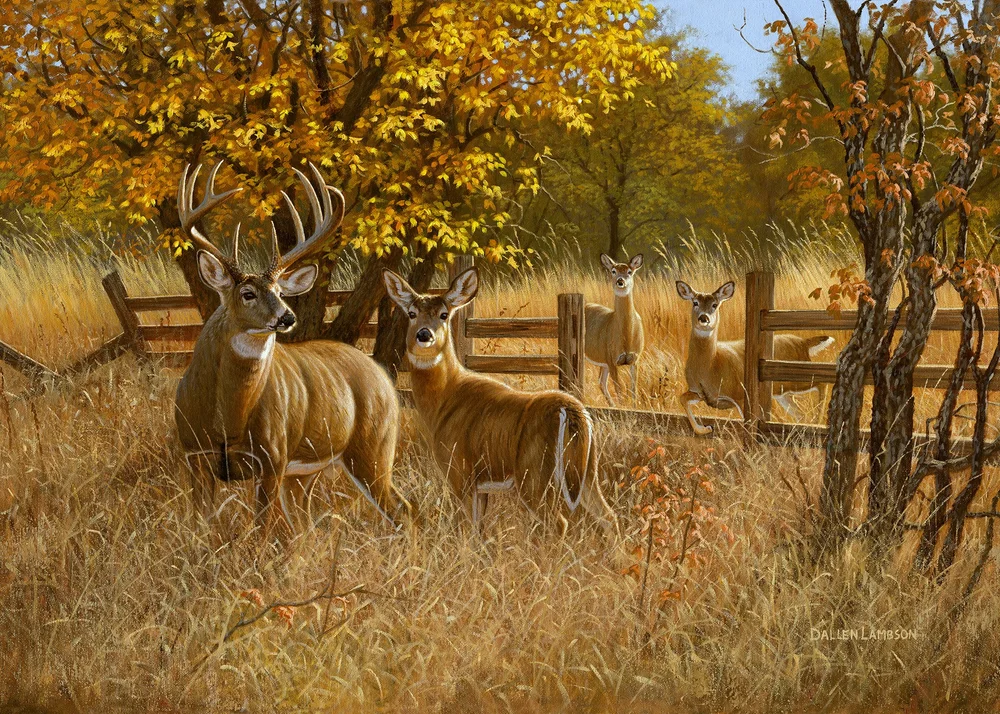 Dallen Lambson Wildlife Art