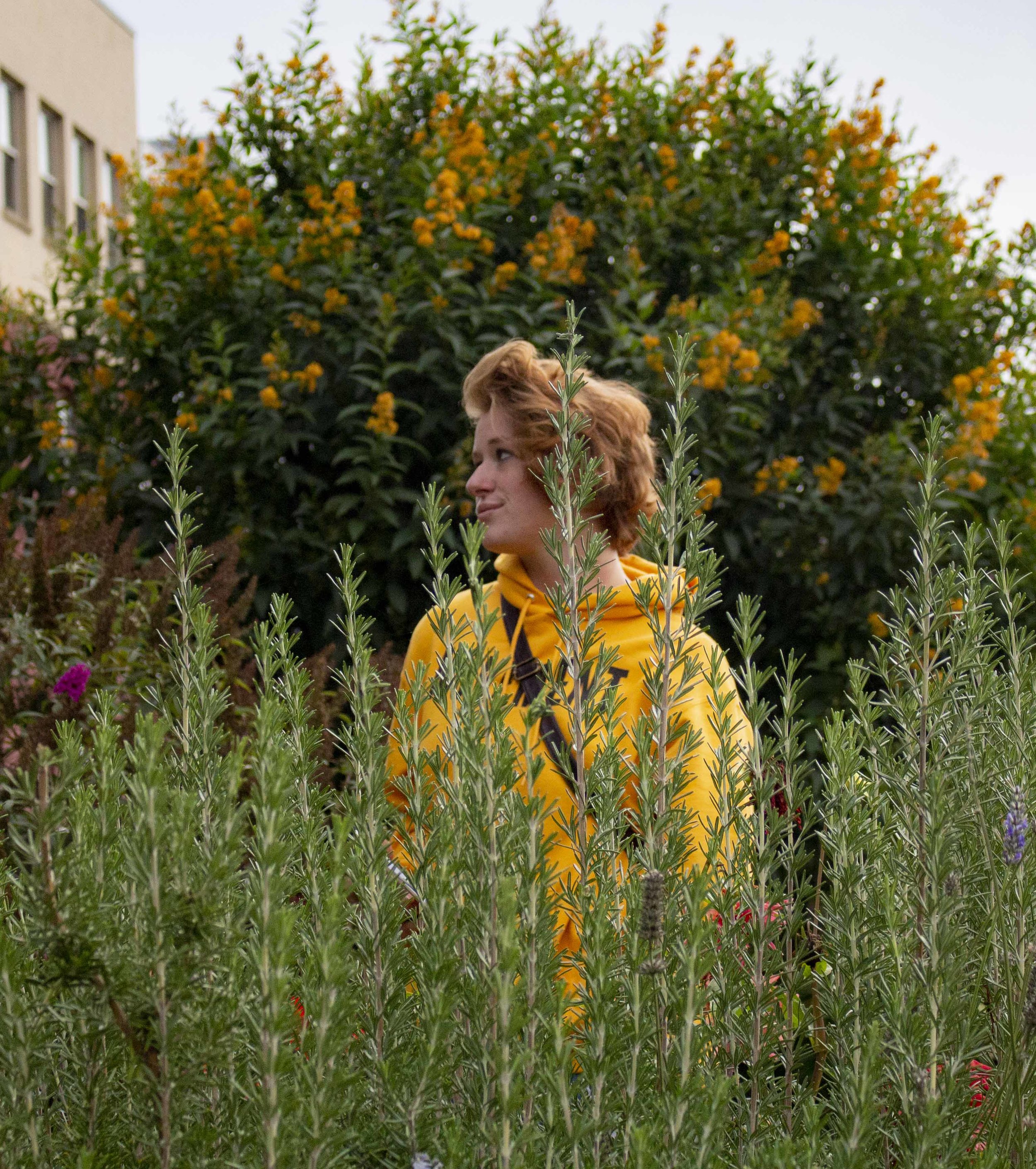 Seattle — Marie Steiger