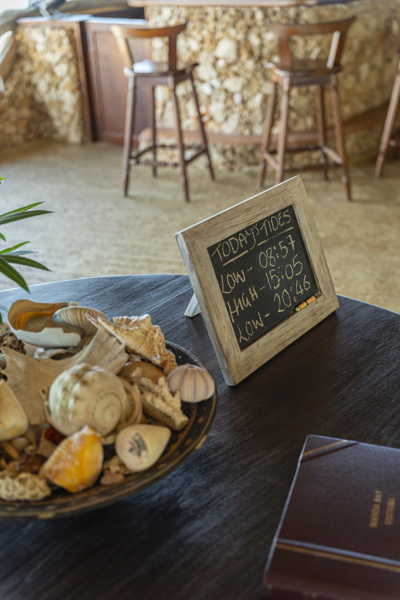 Gallery — Manda Bay