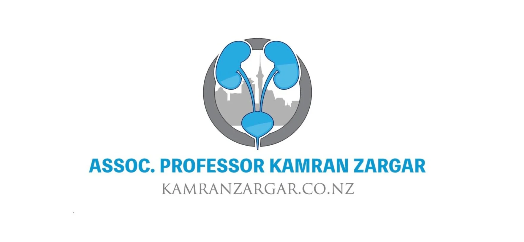 Assoc. Professor Kamran Zargar