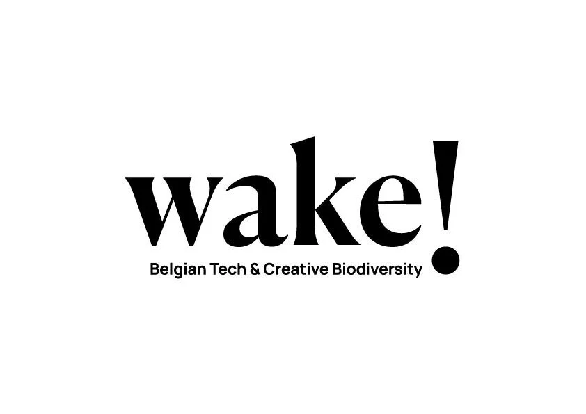 wake! — KIKK Projects