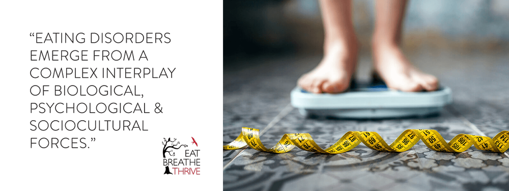 Causes of Eating Disorders — Eat Breathe Thrive Foundation for Eating ...
