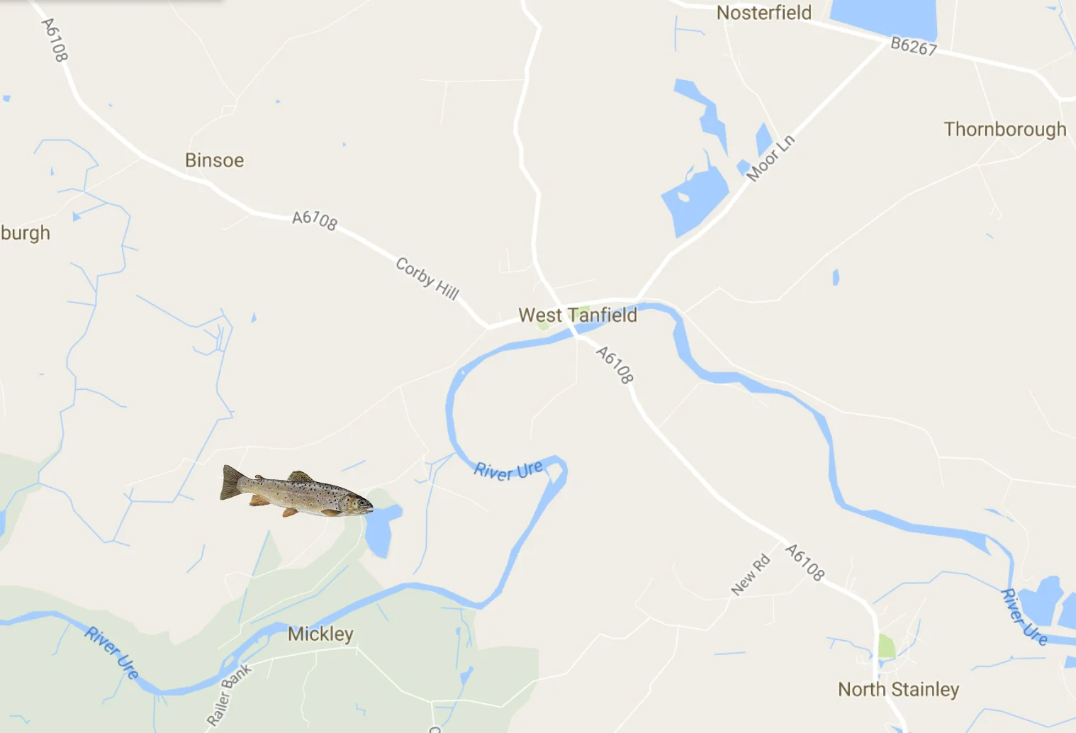Location — Tanfield Lodge Lake