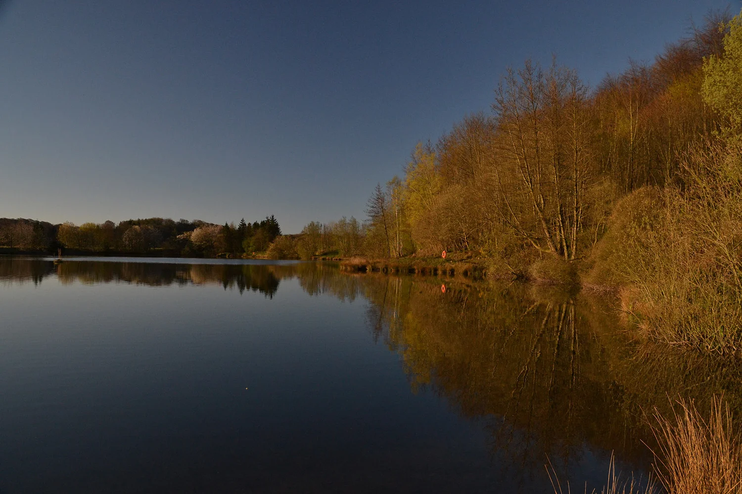 About — Tanfield Lodge Lake
