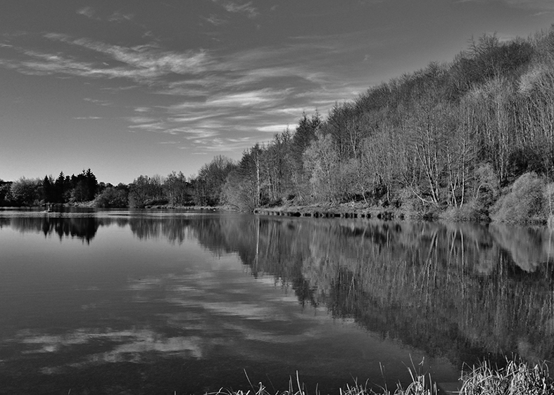Tanfield Lodge Lake