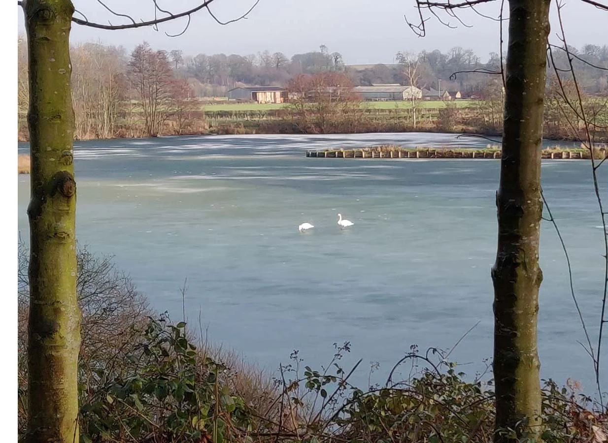 News — Tanfield Lodge Lake