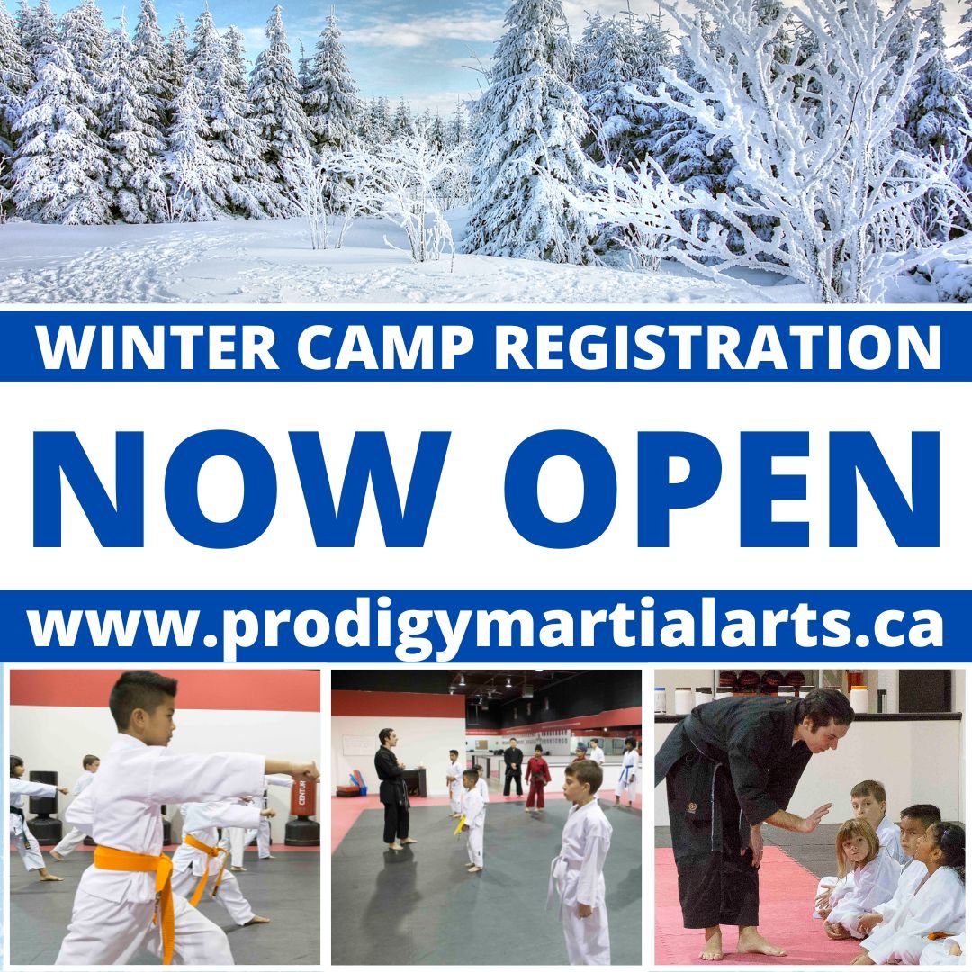 Dojo Shop — Prodigy Martial Arts