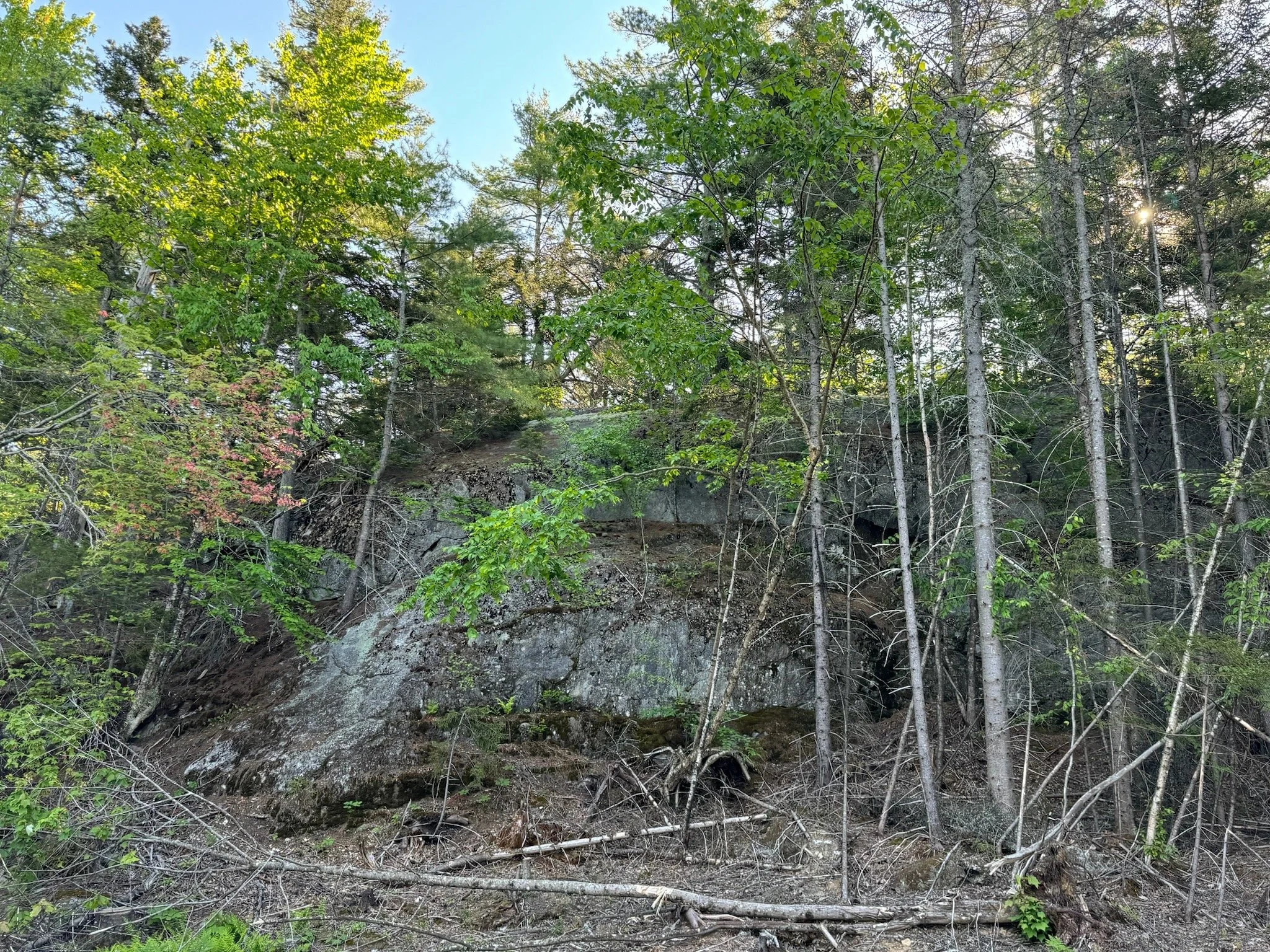 About - Lloyd's Land