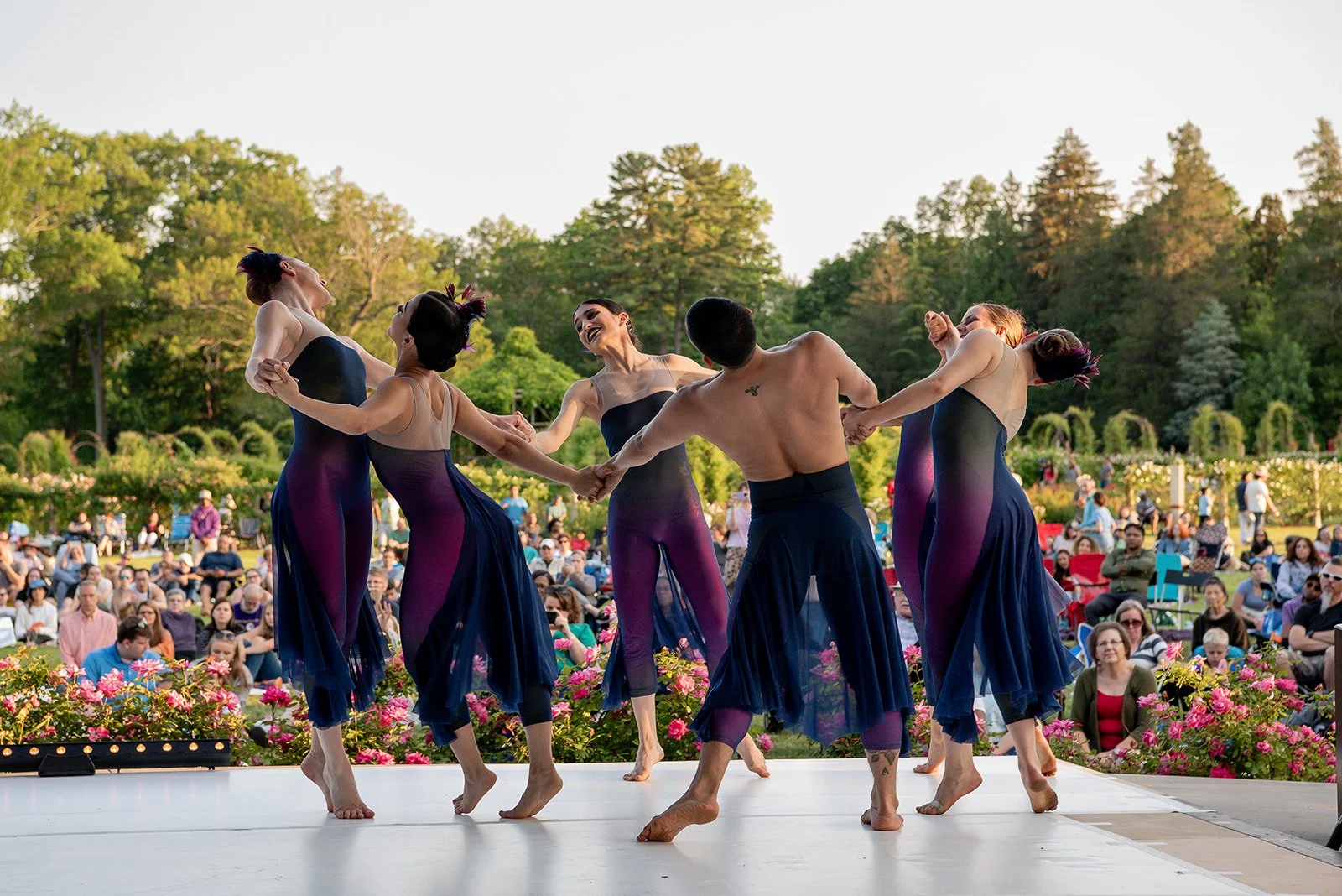Hartford Dance Festival — The Hartford Dance Collective