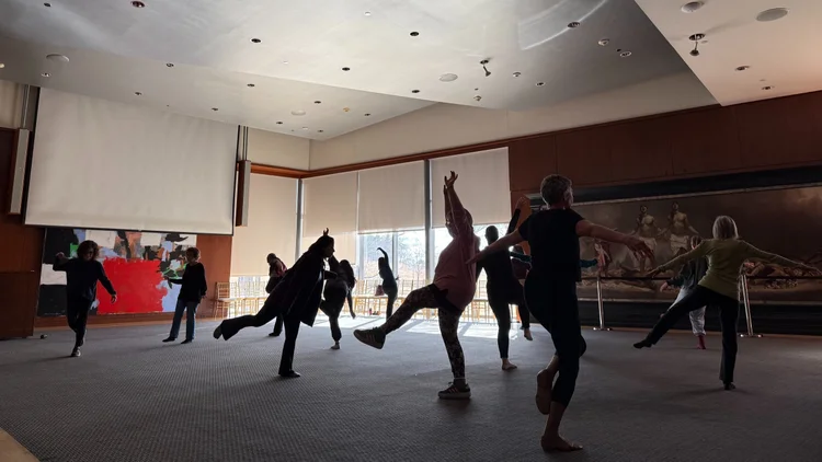 Open Class — The Hartford Dance Collective