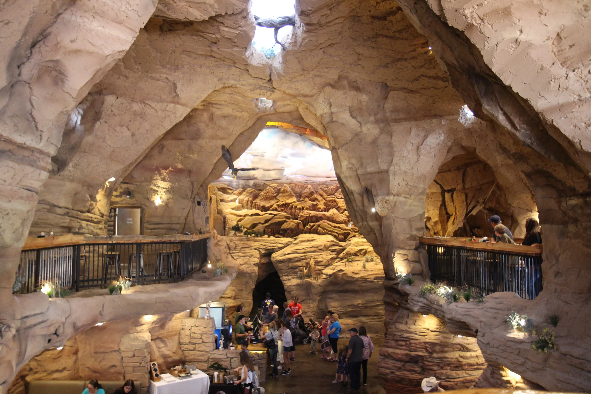 Bearizona Wildlife Park — Jaxon's Pursuit of Knowledge