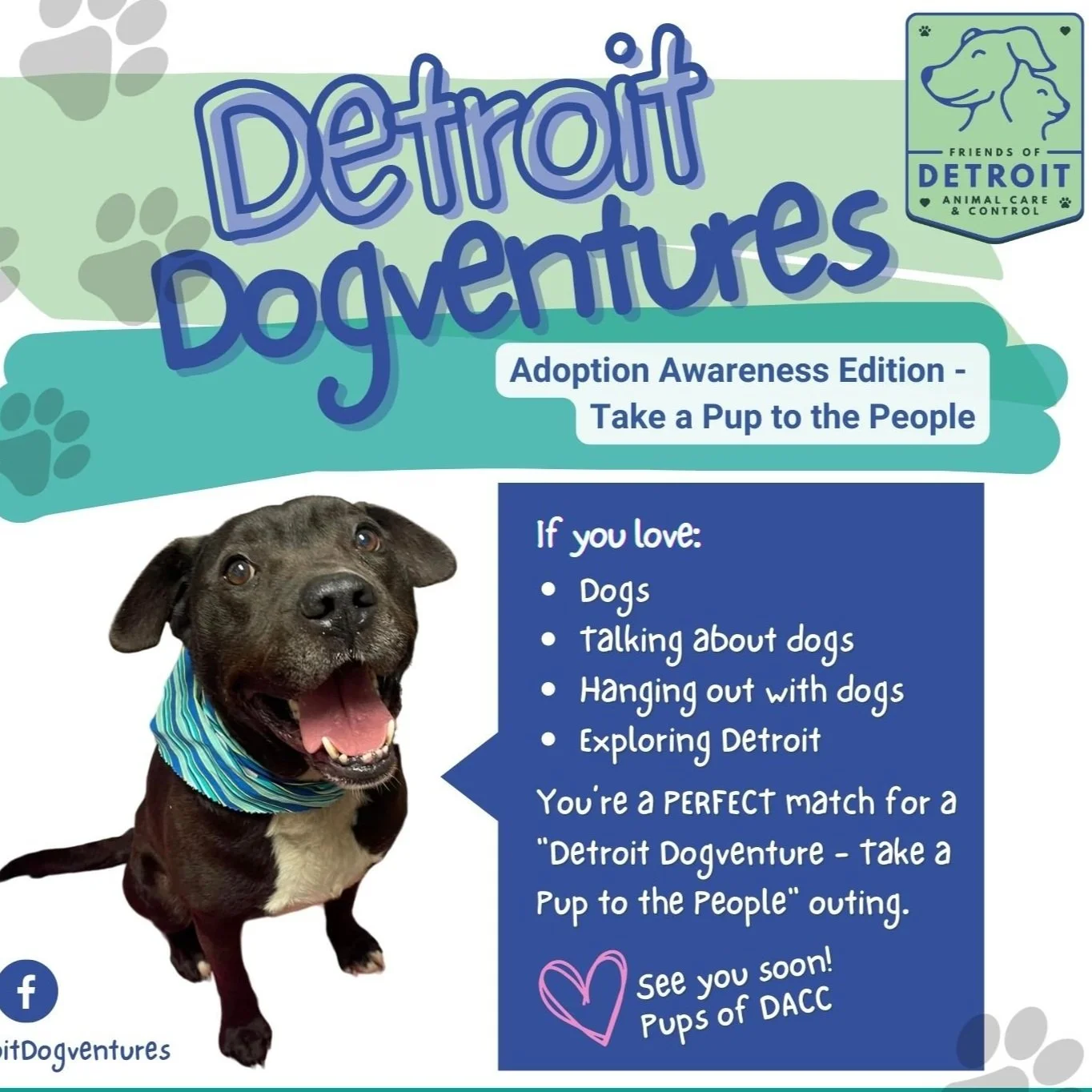 Events — Friends of Detroit Animal Care and Control