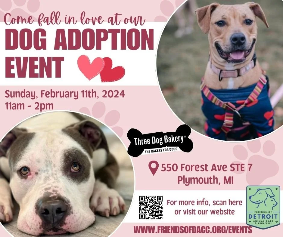 Events — Friends of Detroit Animal Care and Control