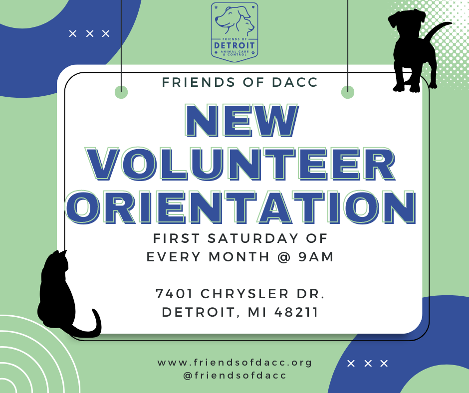 Get Involved — Friends of Detroit Animal Care and Control