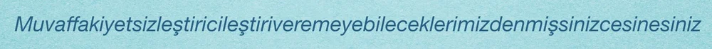 What IS That? A Really Long Turkish Word — West(2)East