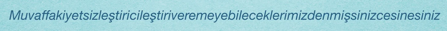 What IS That? A Really Long Turkish Word — West(2)East