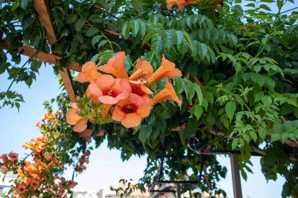 Kaş: Picturesque Town on Turkey's Turquoise Coast — West(2)East