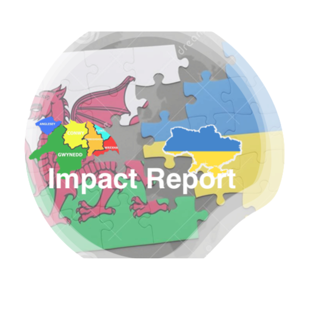 Impact Report — Link International