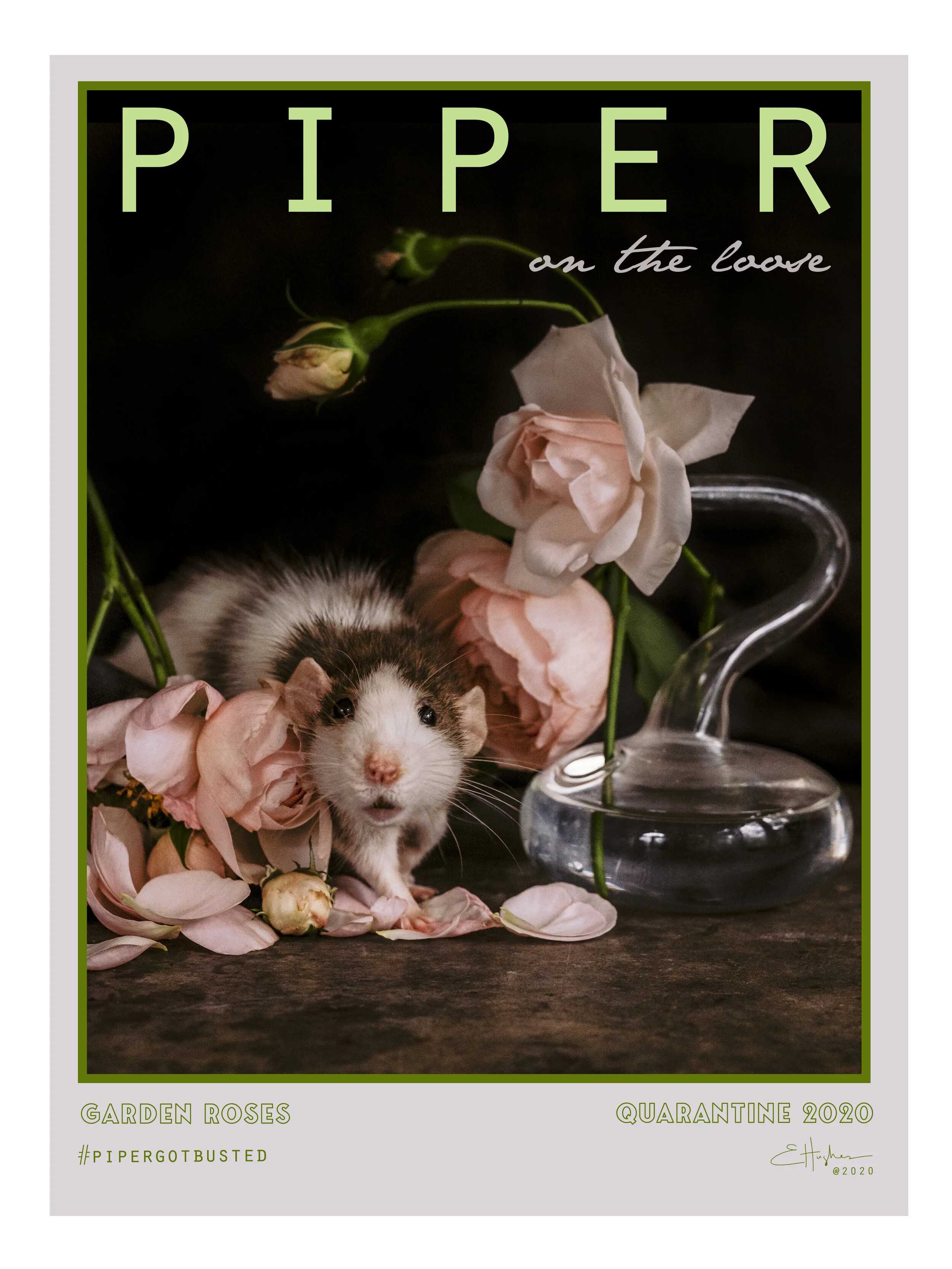 A search for beauty during Quarantine 2020. — Erin Hughes