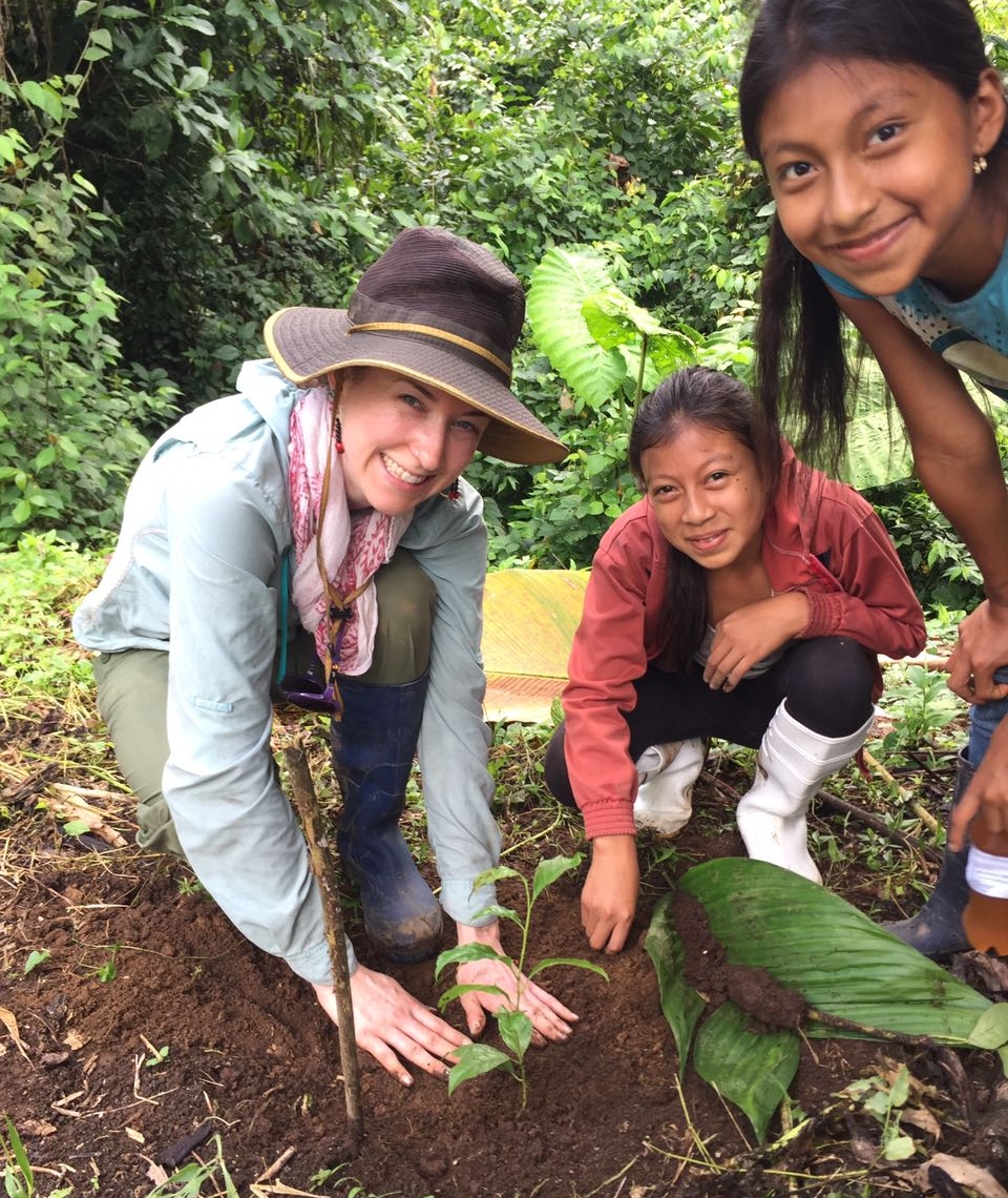 Tea Travel: Ecuador Guayusa Part 1: From Planting to Drinking Guayusa ...