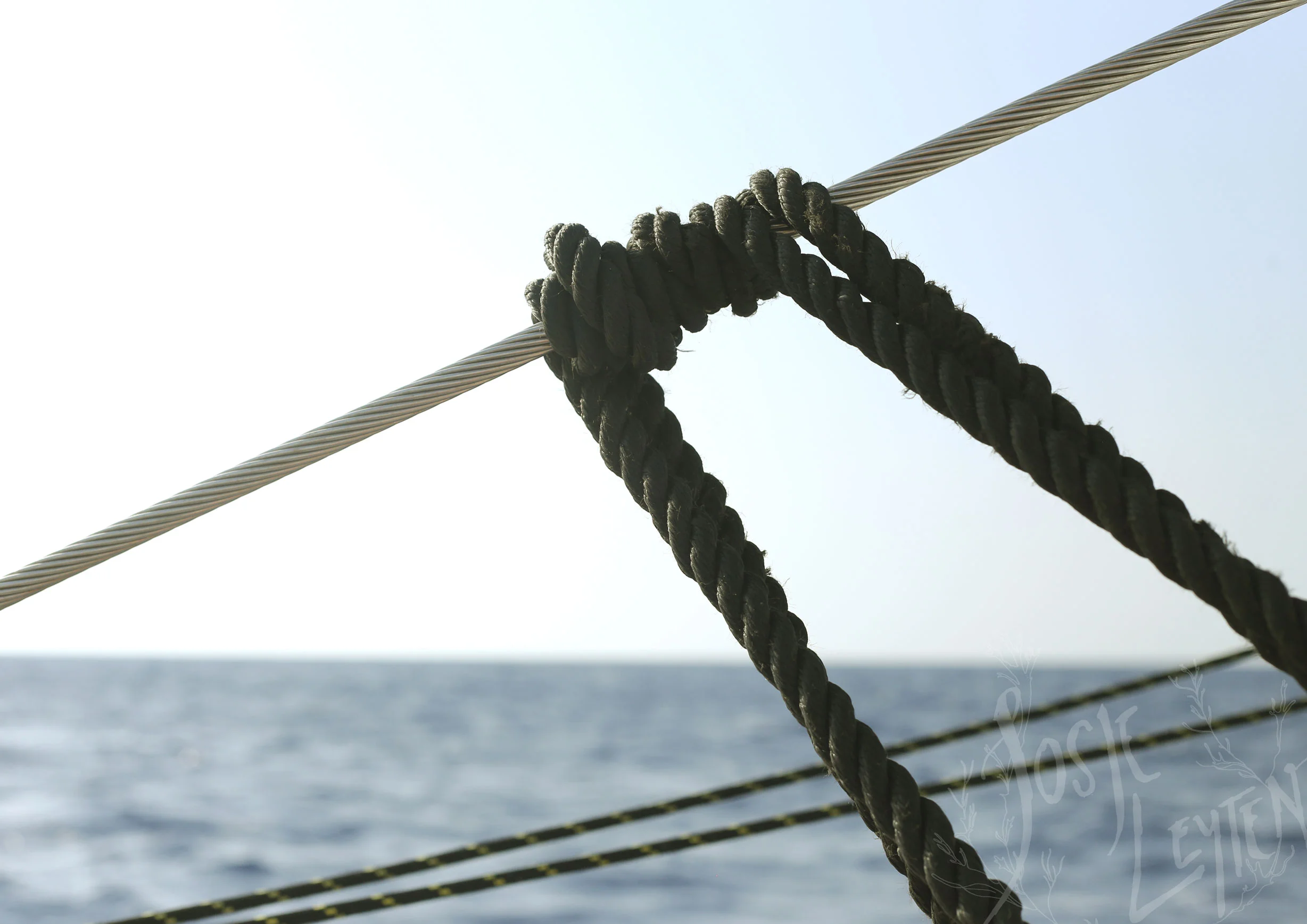 Shop — Josje Leyten