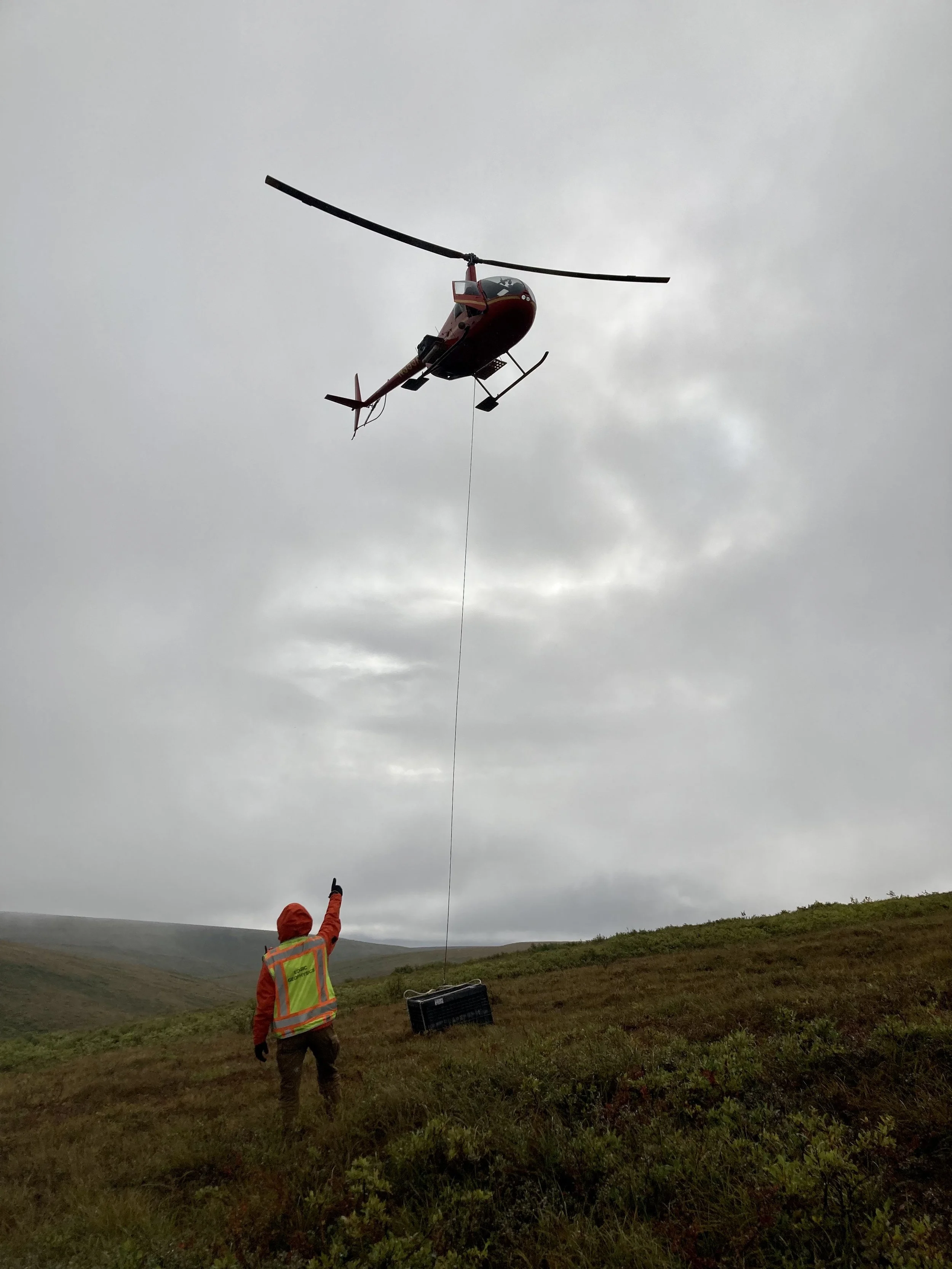 Logic Geophysics & Analytics LLC — Mineral exploration services