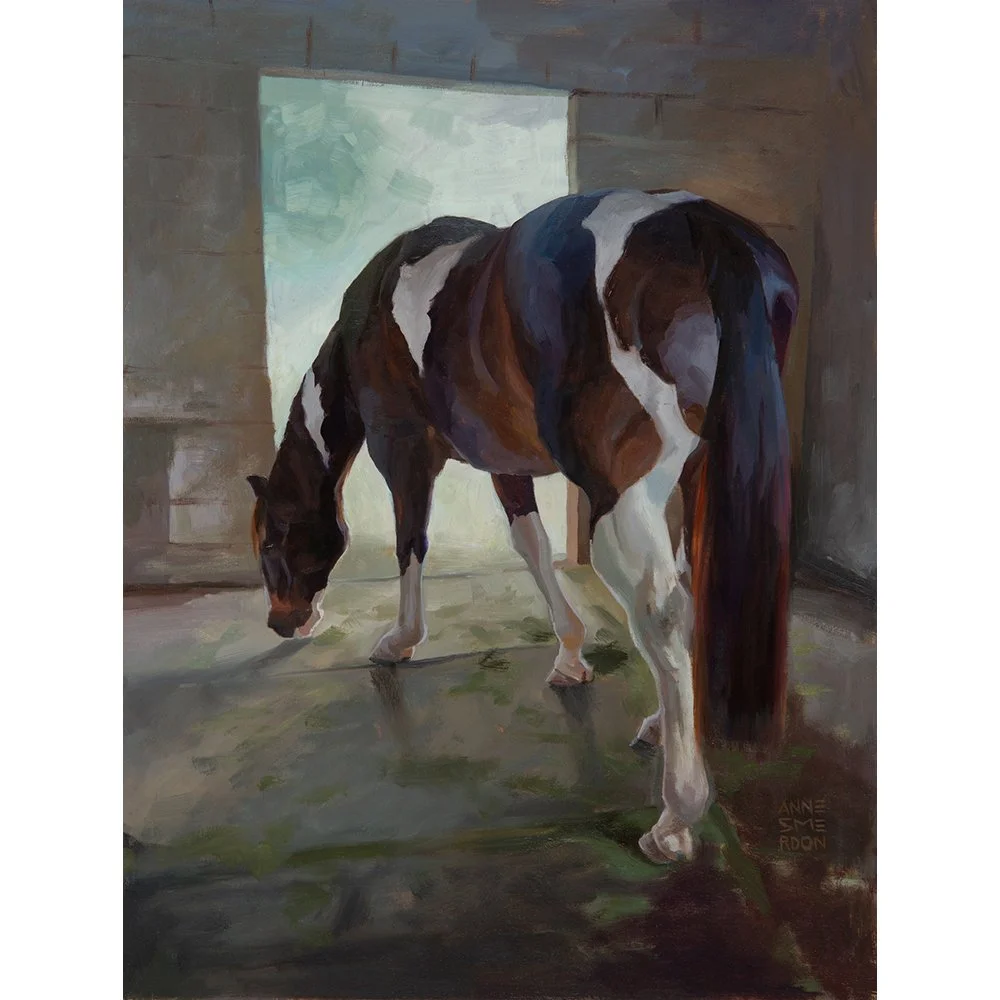 Quarter Horse Paint