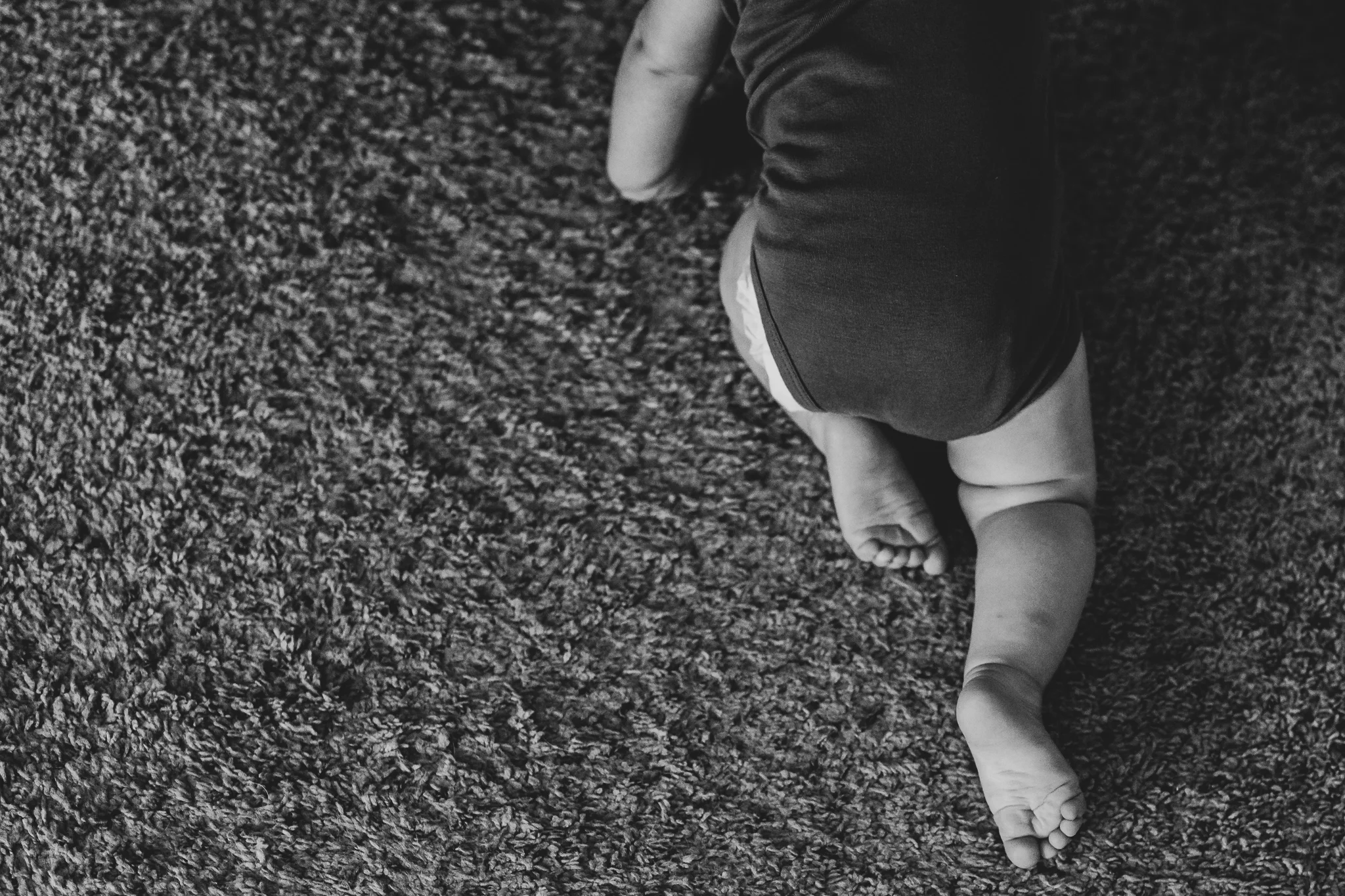 Blog — Laura Gentry Photography