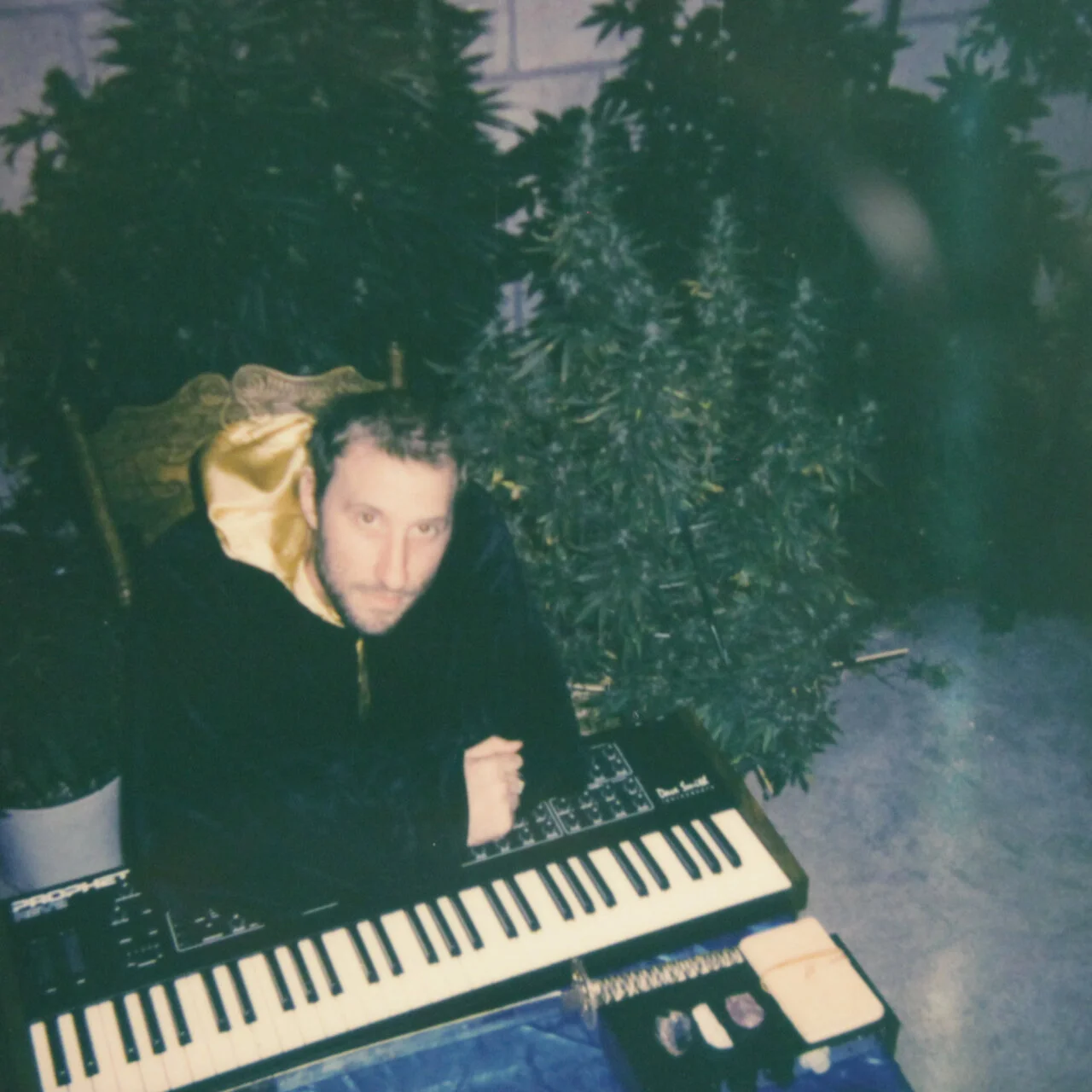 Episode 156: Ryan Pollie — Look at my records!