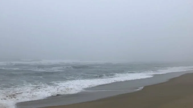 Fog — Joanna Seibert