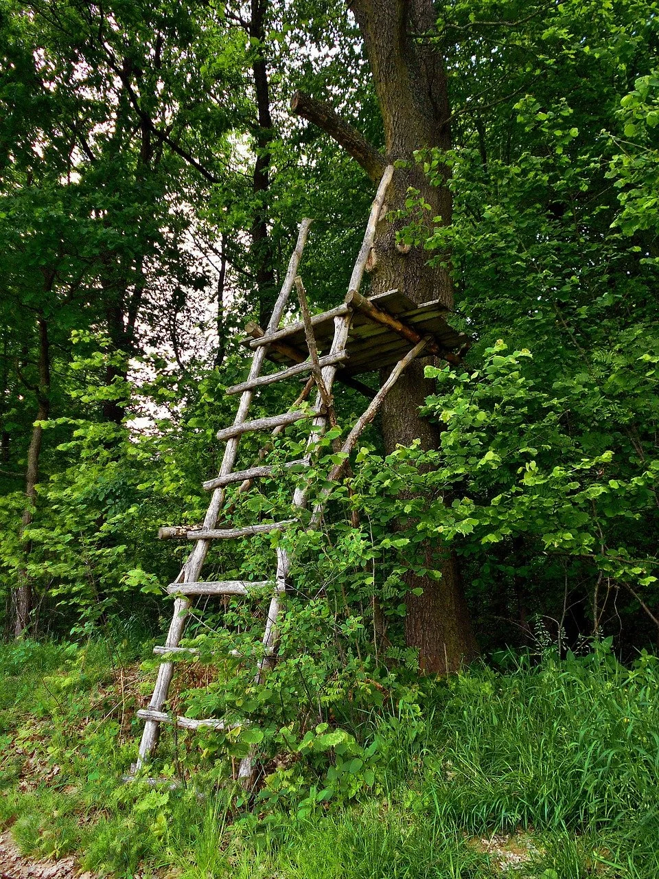 Unlearning and Climbing Down Ladders — Joanna Seibert