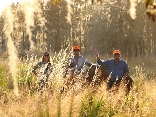 Florida Quail Hunting | Florida Pheasant Hunting | Three Pines Preserve