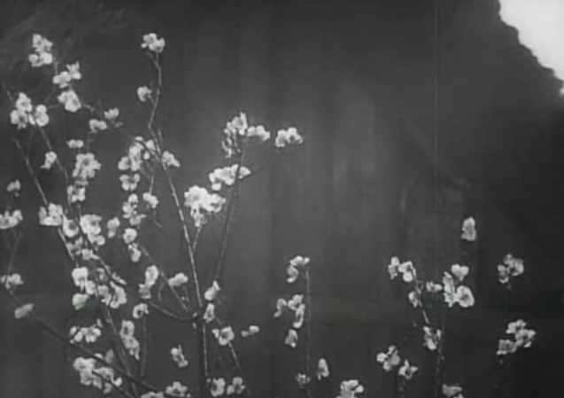 Imperfection In Nature