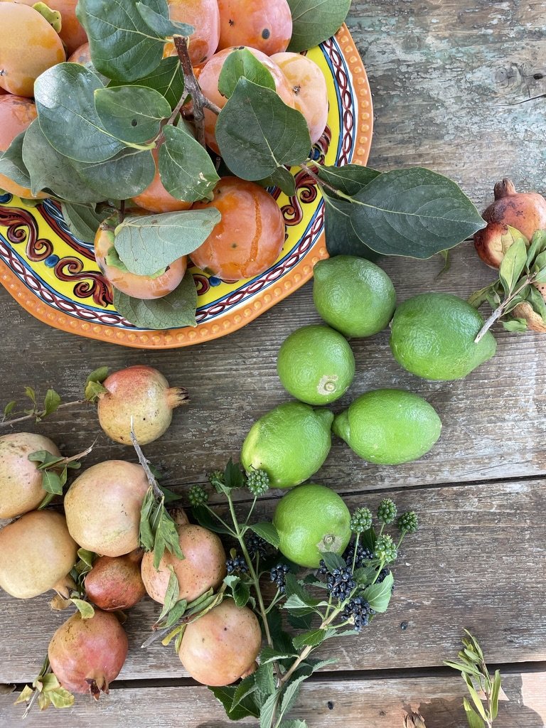 Menu - Youjuice — YouJuice