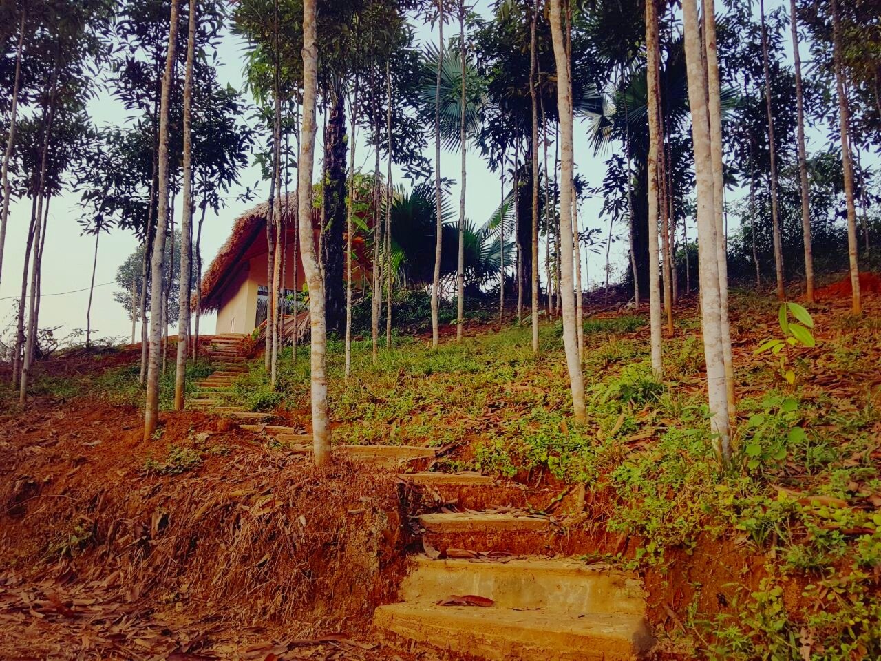 Photo Gallery — Cinnamon Eco Lodge