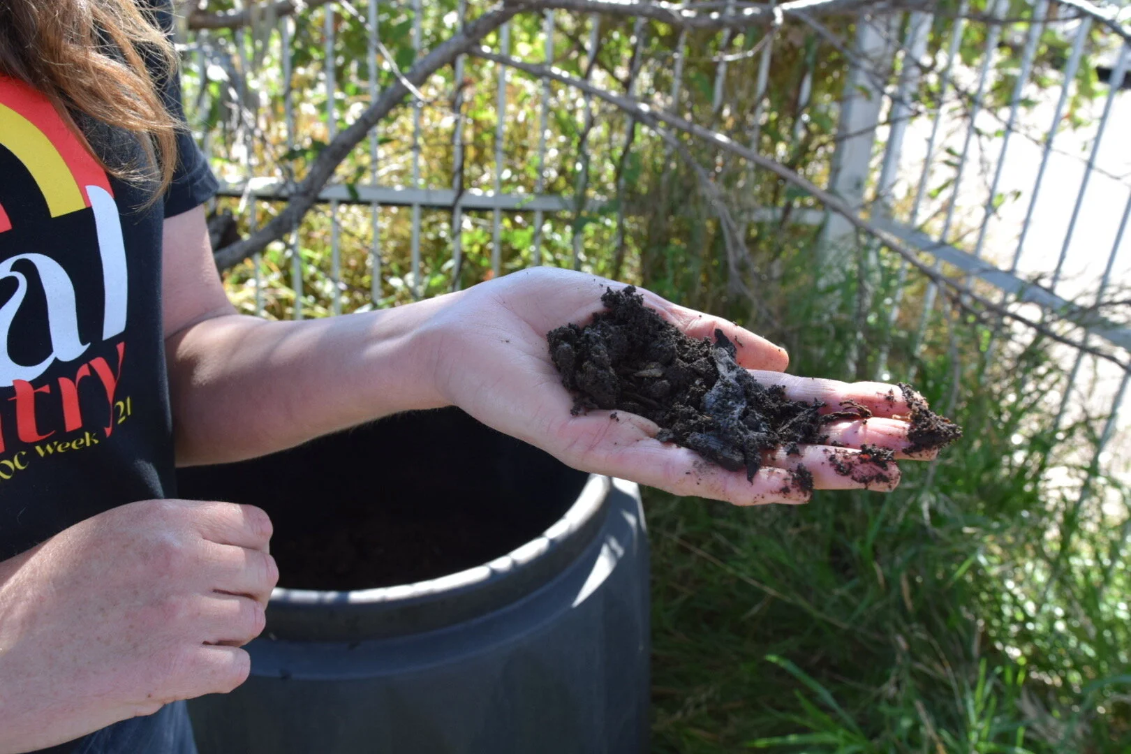 WHAT'S WRONG WITH MY COMPOST? – The Simple Market
