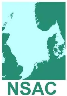 Mindfully Wired Communications