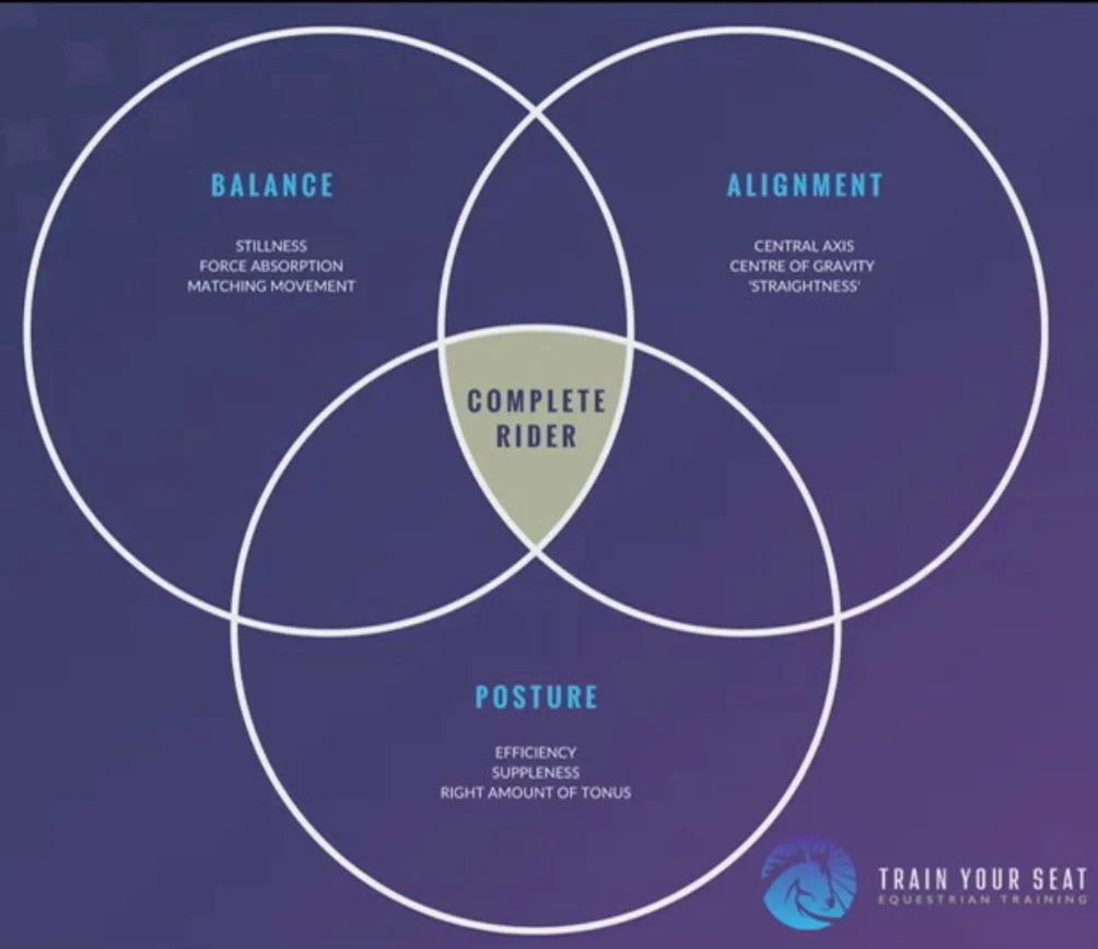 Beter in het zadel met de Franklin Method Equestrian — Barbara Hoekstra