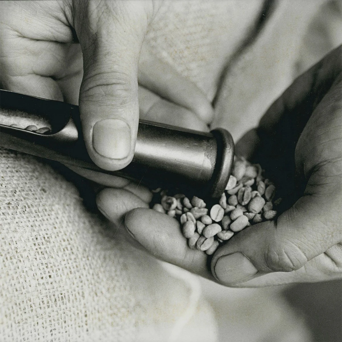 Coffee — Lacas Coffee Company