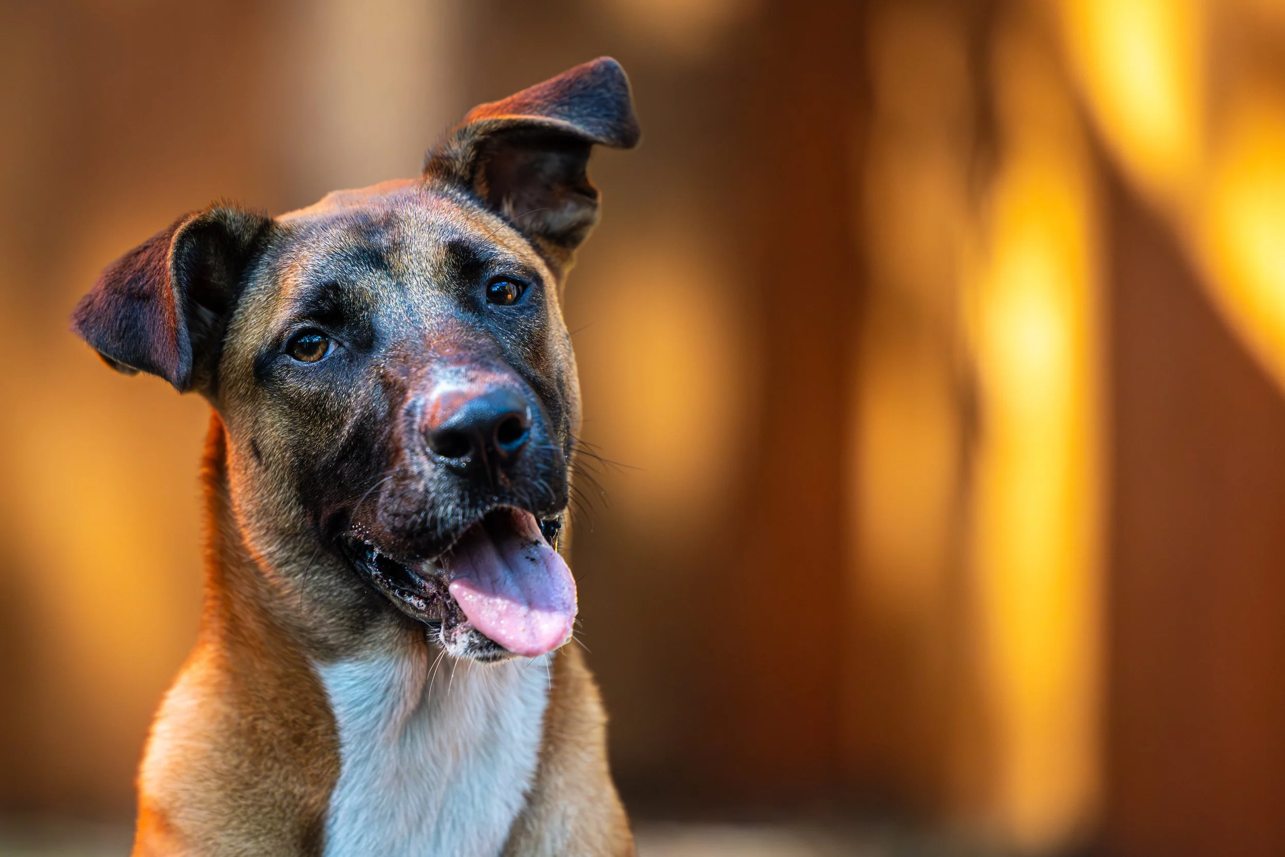 Fred Strobel Photography