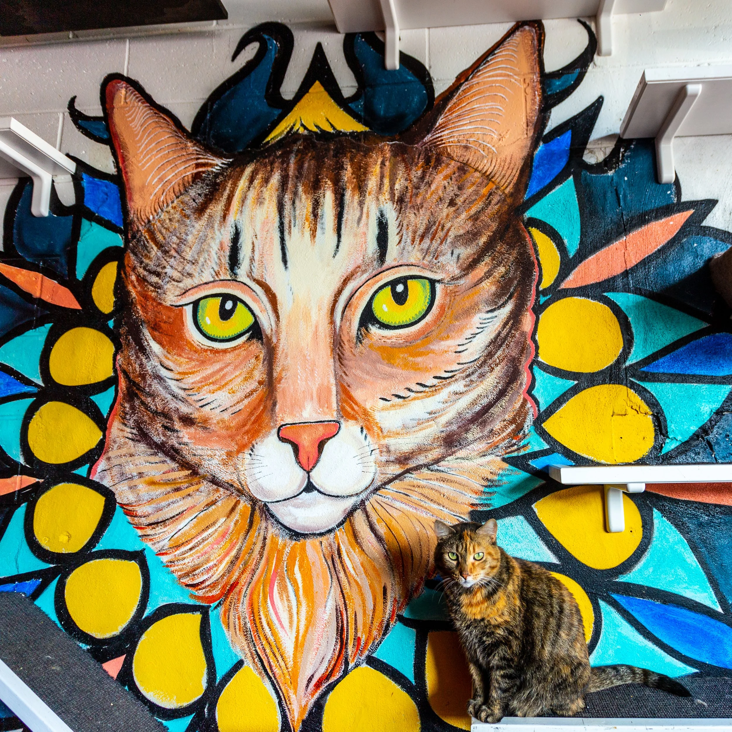 gallery-Fred Strobel Photography