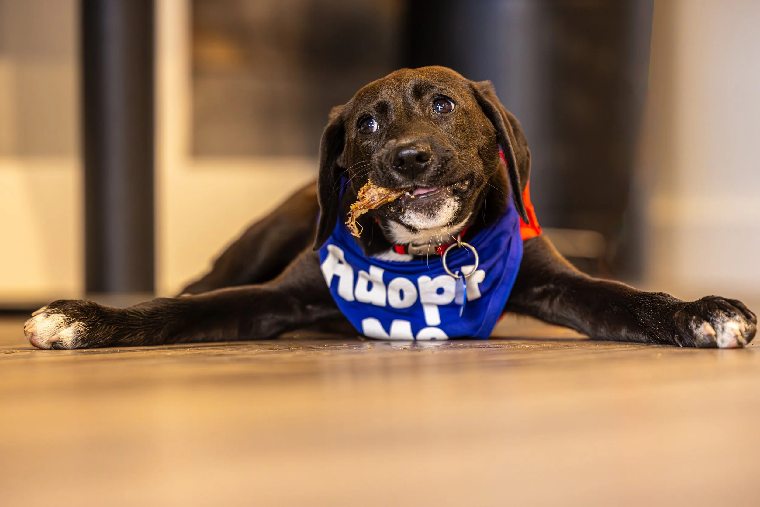 Fred Strobel Photography