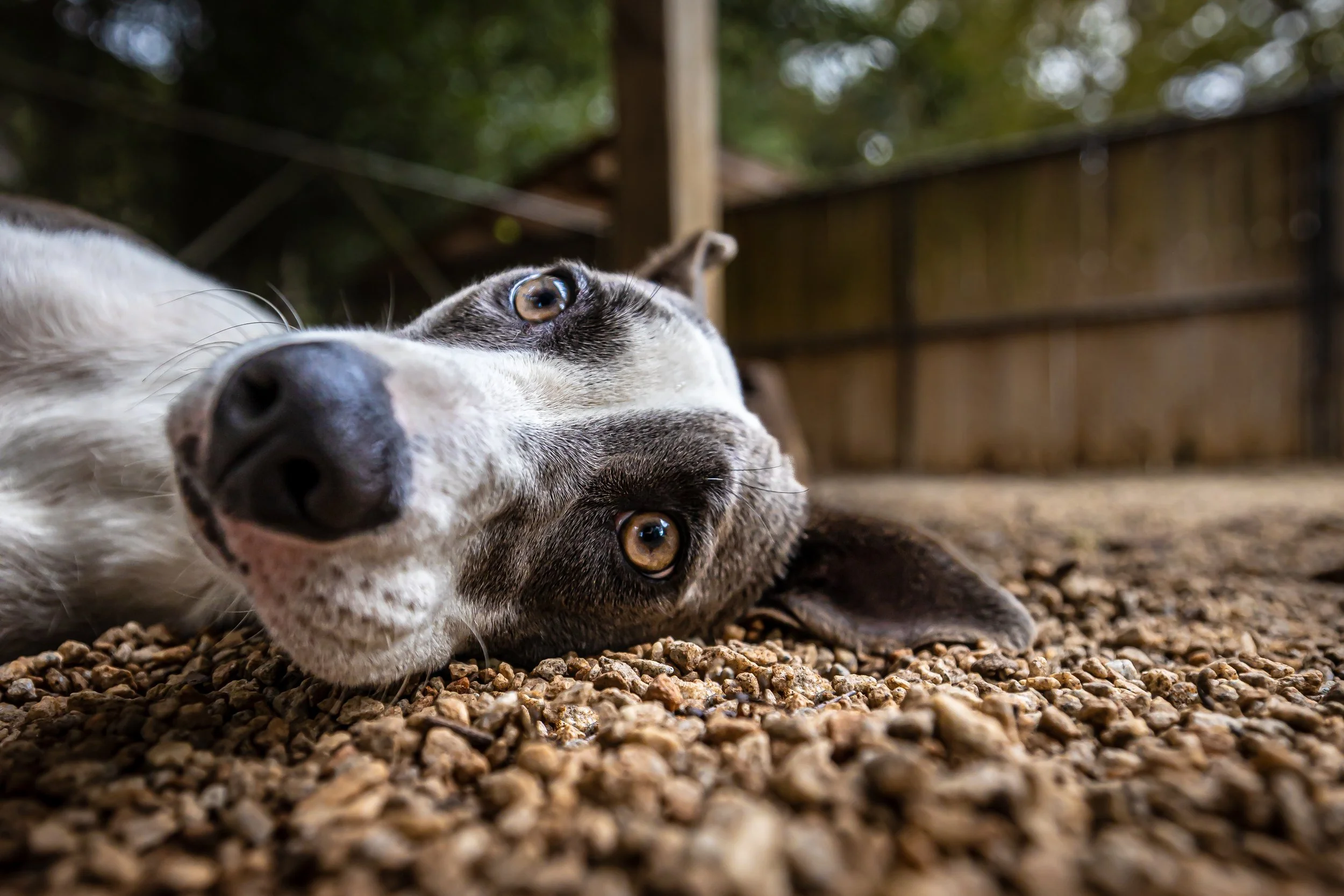 Fred Strobel Photography