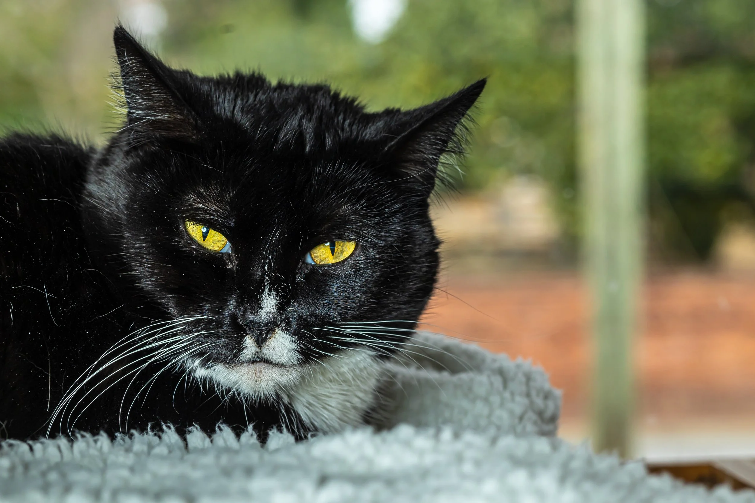 Fred Strobel Photography